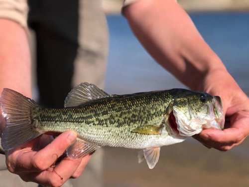 Steinaker State Park In Utah: The Ultimate Family Destination