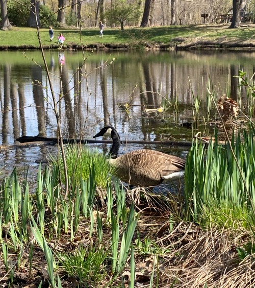 Endicott Park In Danvers, MA Has So Much Family Fun To Offer