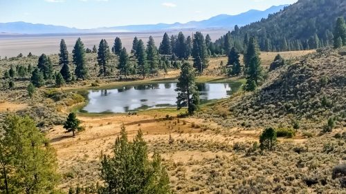 Modoc National Forest In Northern California Is Worth The Drive