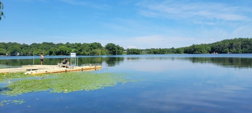 Discover Morses Pond: A Family-Friendly Swimming Spot in Wellesley, MA