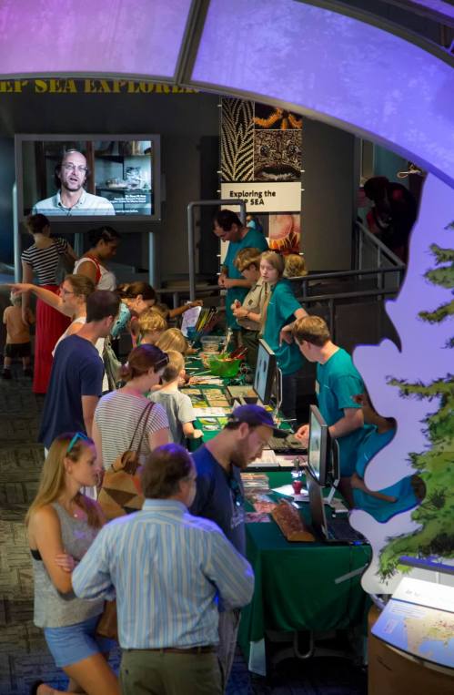 BugFest Is A Wacky Wonderful Festival In North Carolina