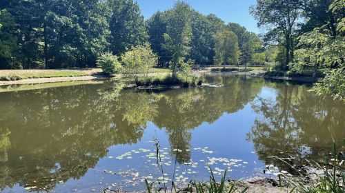Endicott Park In Danvers, MA Has So Much Family Fun To Offer