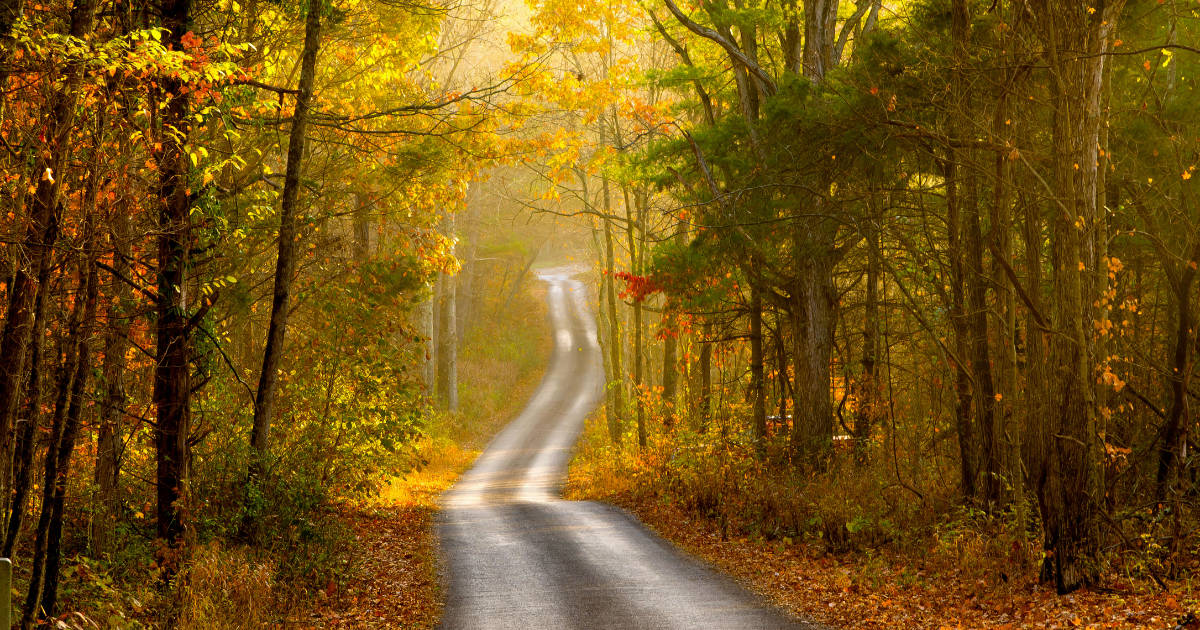 The Scenic Drive In Indiana That Runs Straight Through The Charming ...