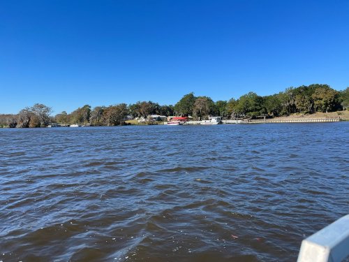 Sandy Island: The Perfect Getaway Trip In South Carolina