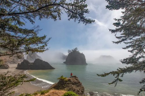 This Hidden Beach Is The Best Place To Find Seashells In Oregon