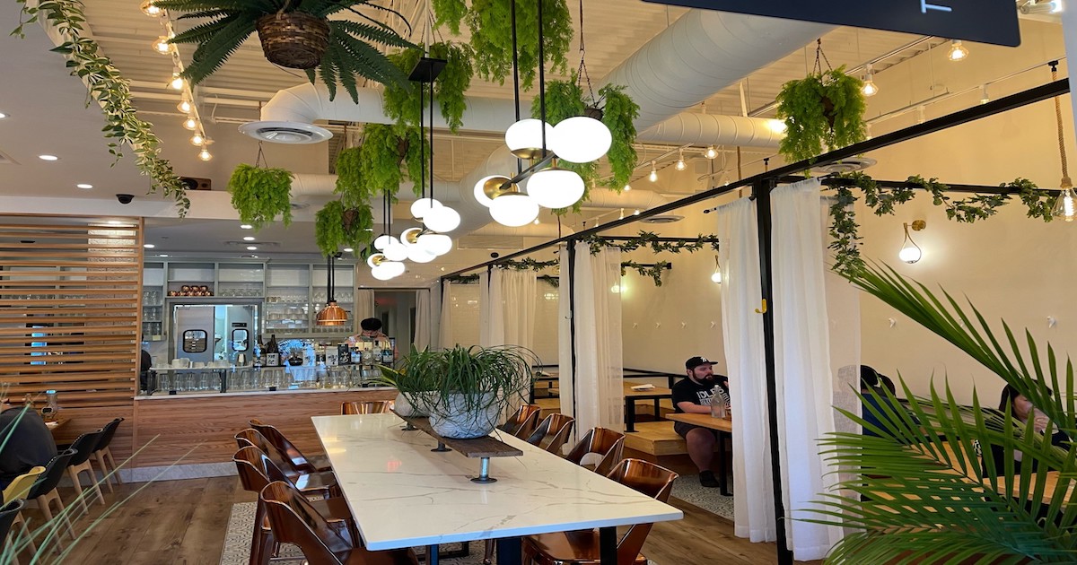 Kare Bar: The Unique Japanese Curry Bar in Ellicott City, Maryland