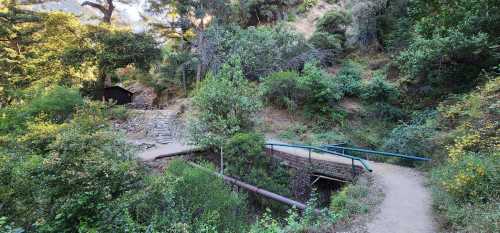 An Unbeatable Hiking Trail Near Pasadena in Southern California