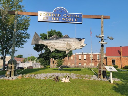 Visit Weldon, North Carolina, The Rockfish Capital Of The World