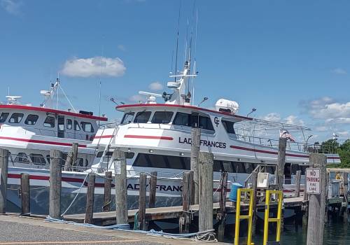 Frances Fleet: Whale Watching In Narragansett, Rhode Island