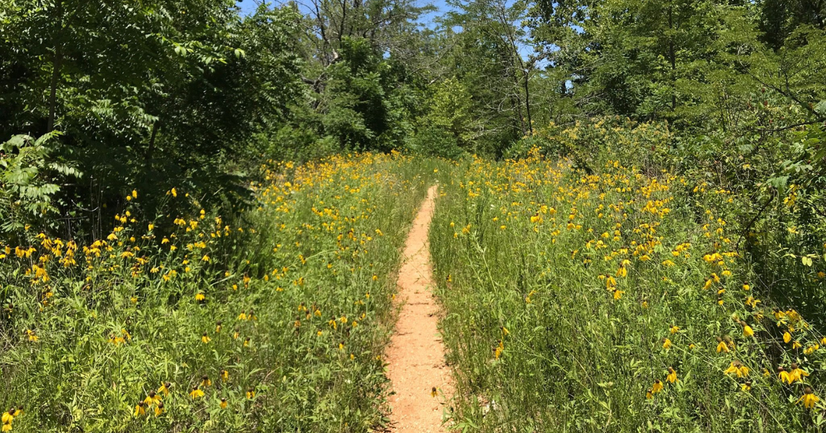 Explore This Secret Trail Around The Largest National Forest In Missouri