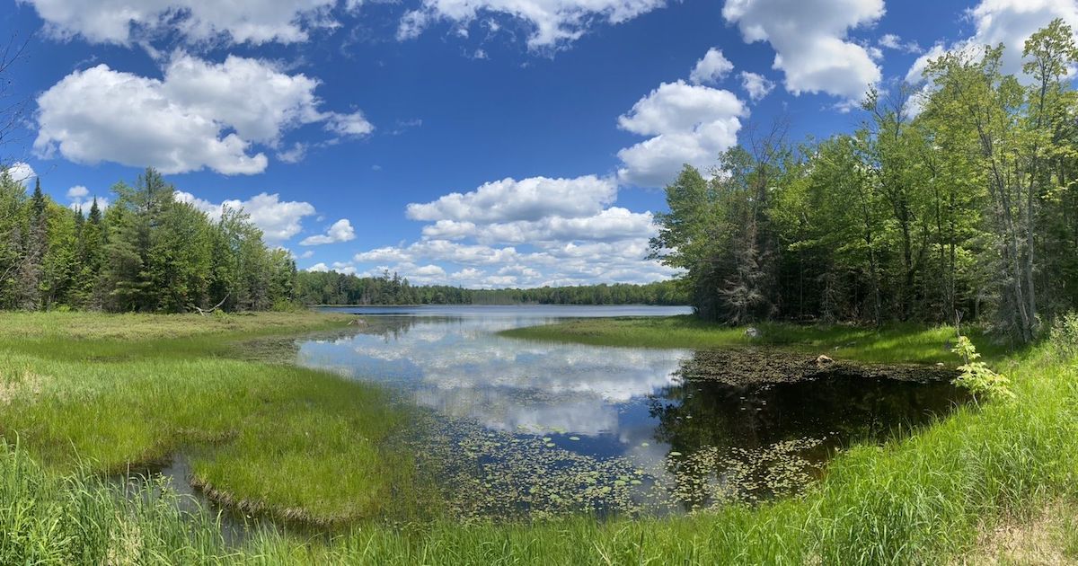 Catherine Wolter Wilderness Area Is A Wisconsin Hidden Gem