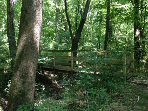 Best Hiking Trails In Missouri: Robertsville State Park