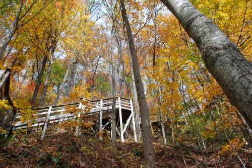 Dawsonville: Best Fall Day Trip In Georgia