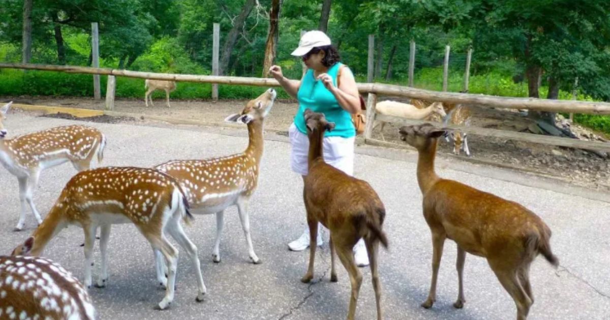 10 Things To Do During Summer In Wisconsin