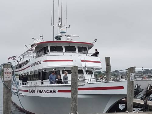 Frances Fleet: Whale Watching In Narragansett, Rhode Island