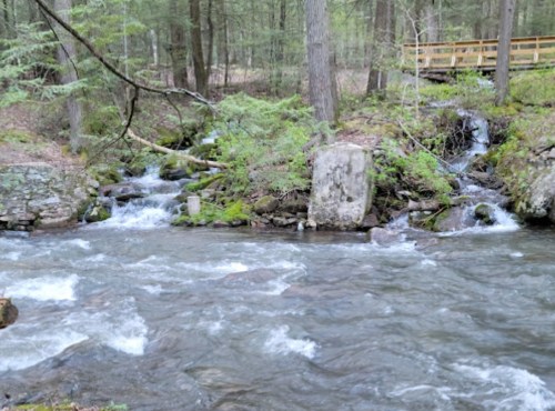 Remote State Park: Reeds Gap State Park In Pennsylvania
