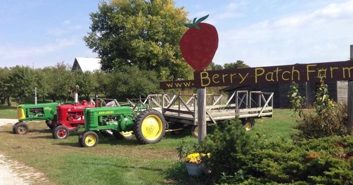The Berry Patch: Best Berry Farm In Iowa