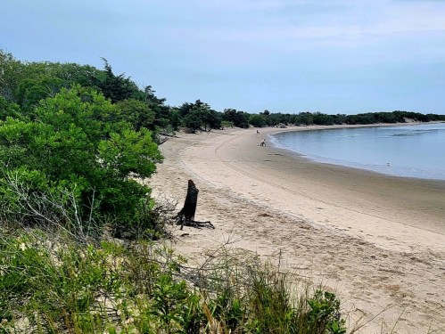 Corson's Inlet State Park Is The Most Remote State Park In NJ