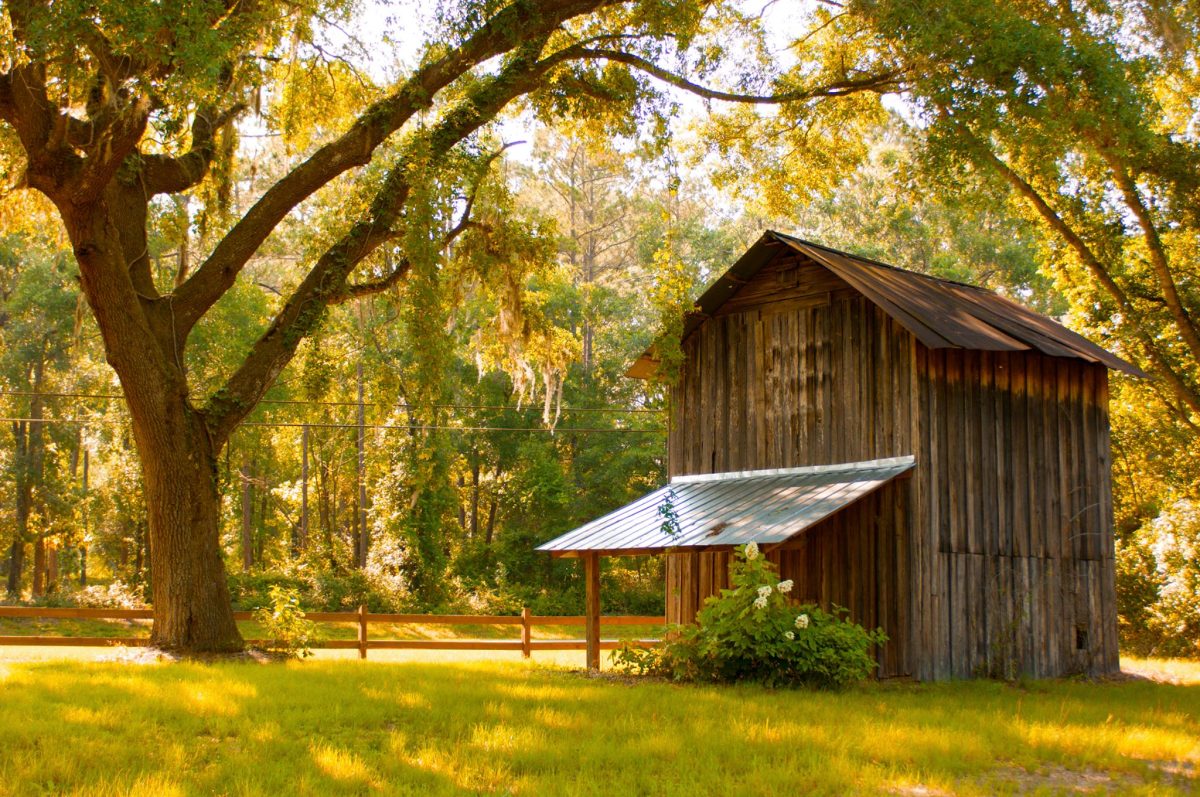 Charming Small Town In Florida: Perfect Fall Day Trip Destination