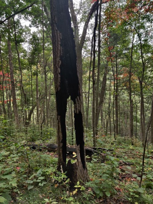 Hemlock Draw In Wisconsin Is A WI Natural Wonder