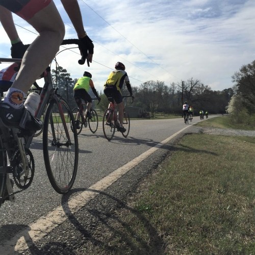 Firefly Trail Is A New Long-Distance Trail In Georgia
