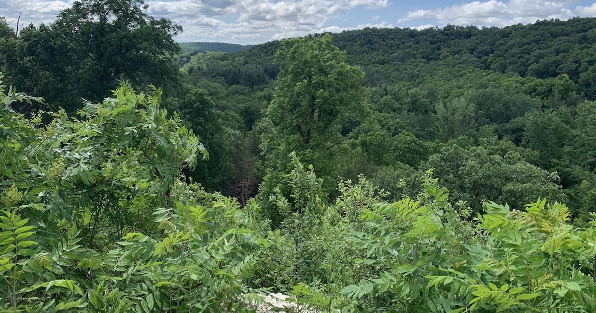New Hiking Trail In Minnesota To Traverse The Driftless Area