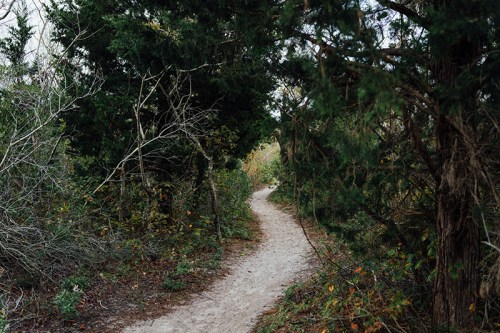 Corson's Inlet State Park Is The Most Remote State Park In NJ