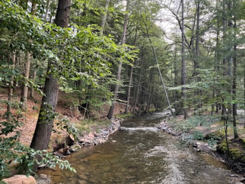 Remote State Park: Reeds Gap State Park In Pennsylvania