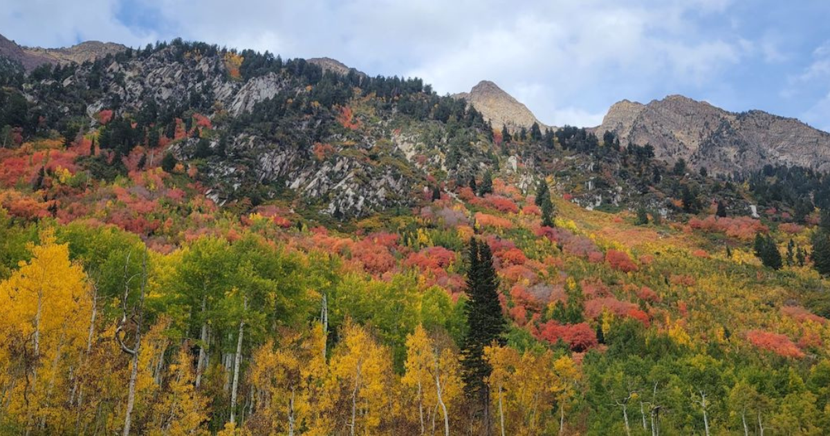 Observation Point Trail: Most Enchanting Hike In Utah