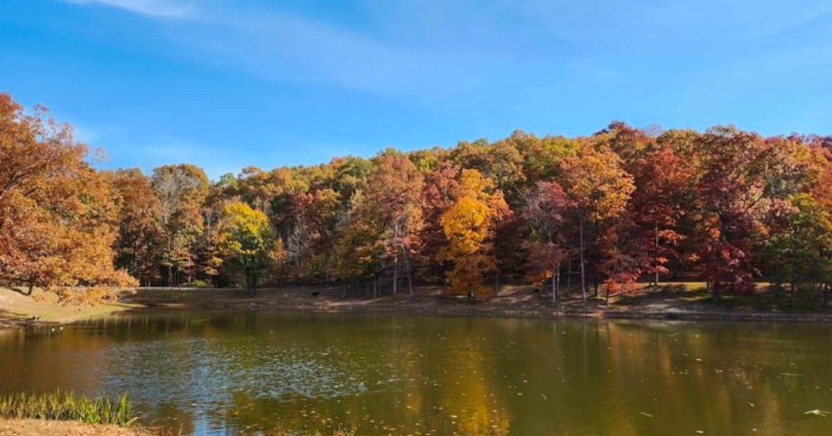 Enjoy A Quiet Day In Nature At This Ohio State Park