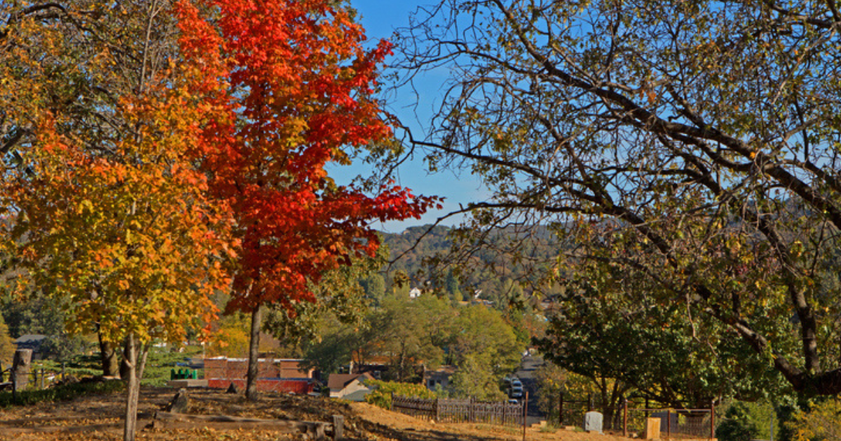 Experience Fall in Julian, CA: Pumpkin Picking & Cozy Stays