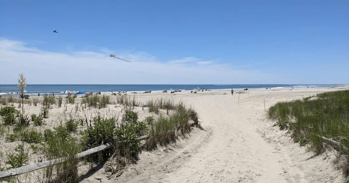 Corson's Inlet State Park Is The Most Remote State Park In NJ