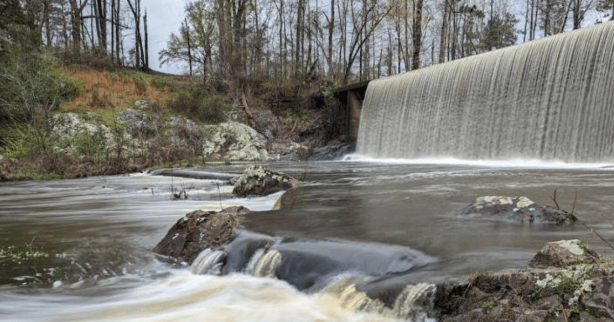 Hamburg State Park: Most Remote State Park In Georgia