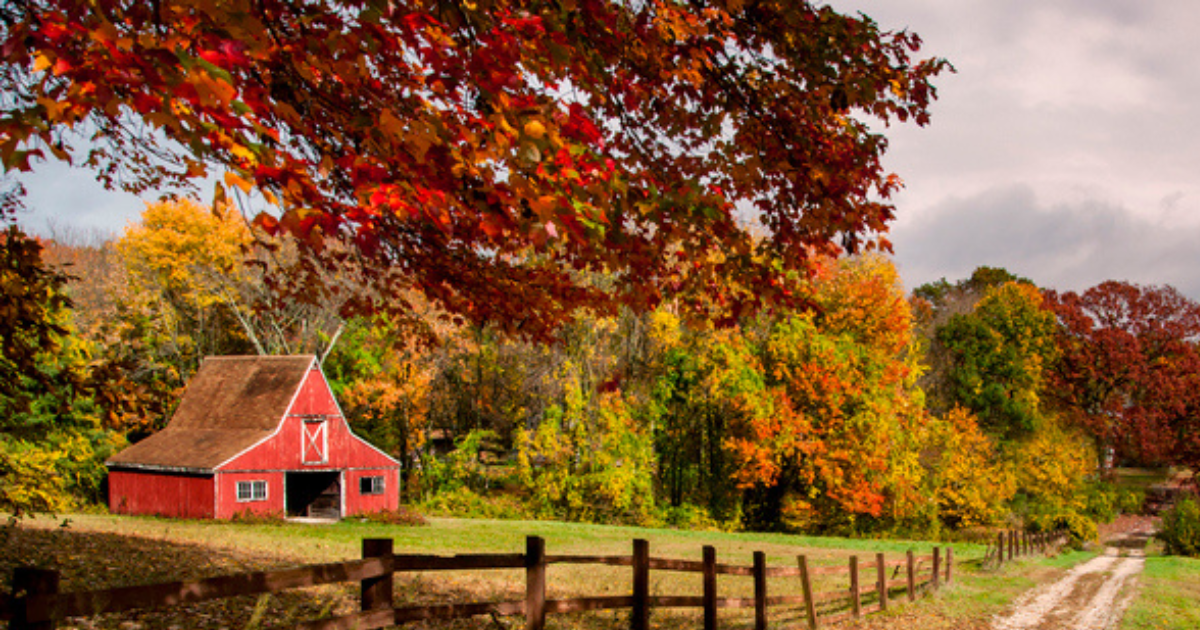 Here Are The Best Times And Places To View Connecticut’s Fall Foliage ...