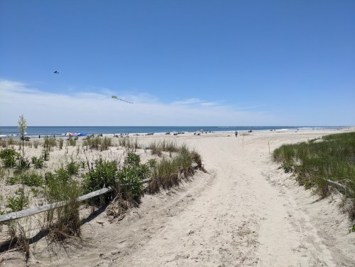 Corson's Inlet State Park Is The Most Remote State Park In NJ