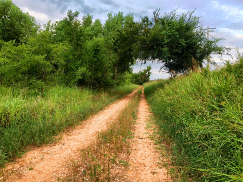 18 Best Hikes In Oklahoma: Top-Rated Hiking Trails To Visit