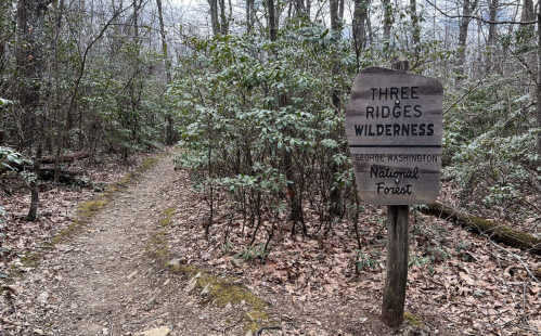 Hanging Rock Trail: Rugged And Remote Hike In Virginia