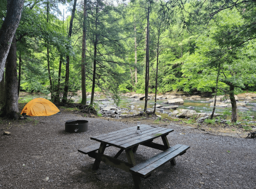 Campgrounds In West Virginia: 18 Top-Rated Campgrounds