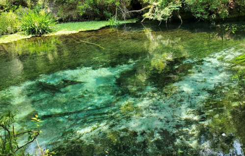 Charming Small Town In Florida: Perfect Fall Day Trip Destination