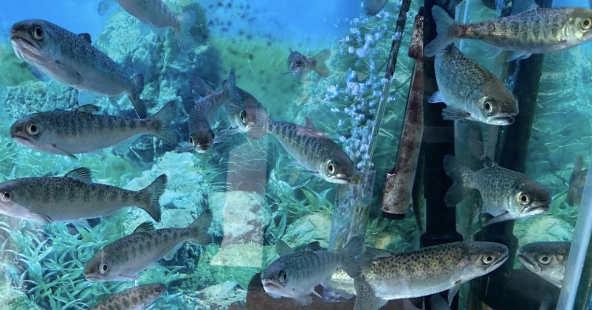 Plan A Visit To This Unique Visitor Center in Mattawan, Michigan