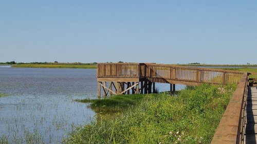 Day Trip Idea: Anahuac National Wildlife Refuge In Anahuac, Texas