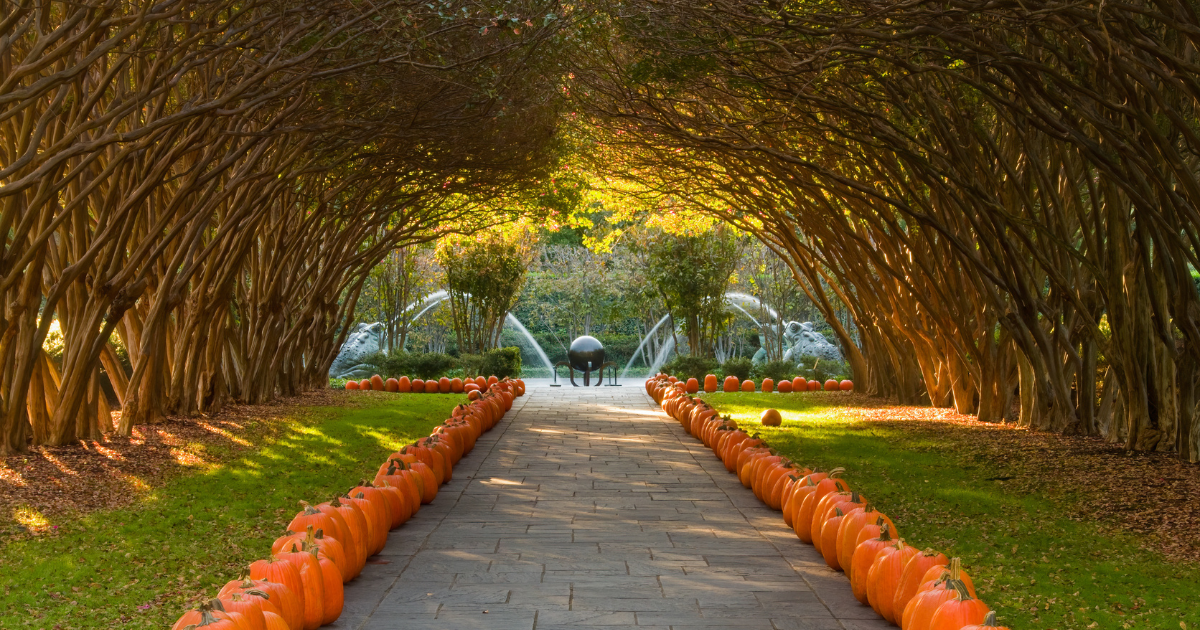 Best Fall Festivals in the US for Your Fall Bucket List