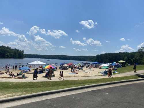 Falls Lake State Recreation Area: A Park Worth Driving To In NC