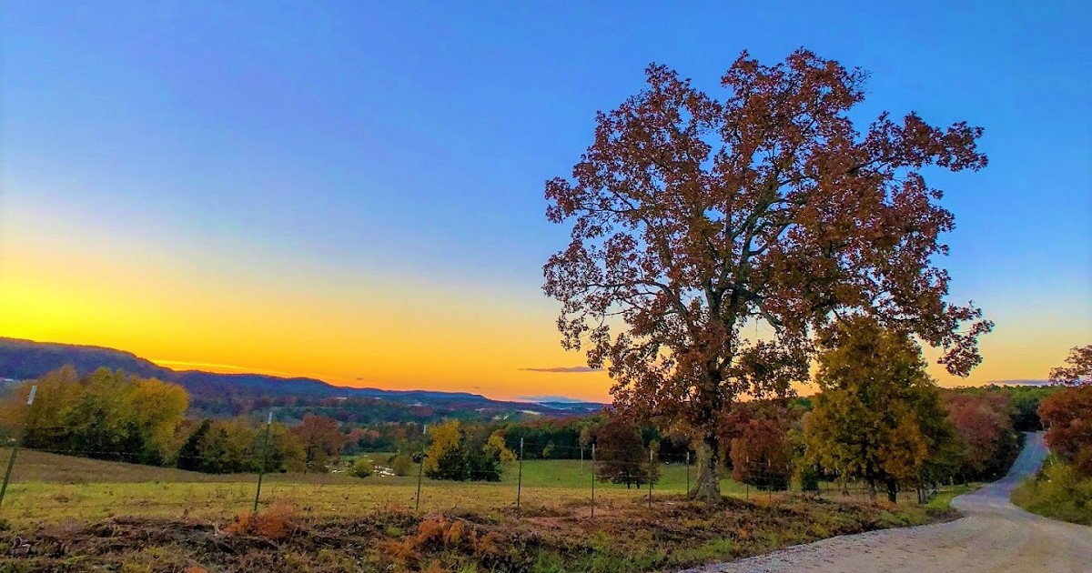 The Scenic Drive In Arkansas That Runs Straight Through Two Charming ...