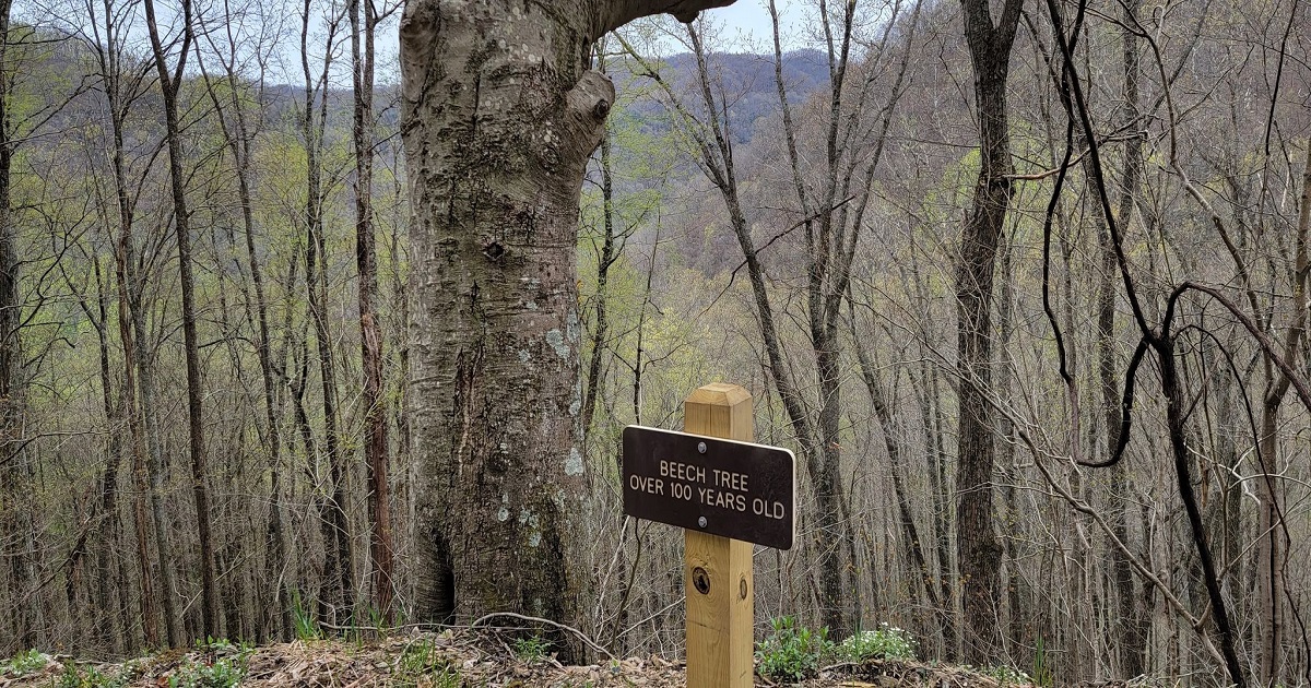 Take The Old Sewell Road Trail To A Ghost Town In West Virginia