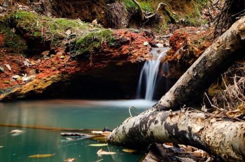 Best Fall Day Trips In Louisiana: Homer