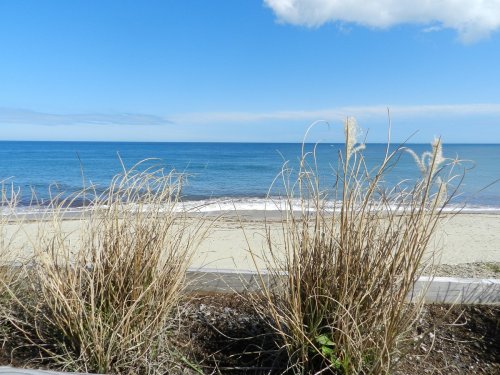 Siasconset Beach: A Remote Beach In Nantucket, Massachusetts