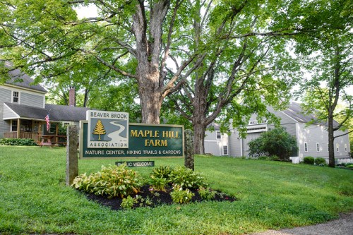 Maple Hill: One Of The Best New Hampshire Botanical Gardens
