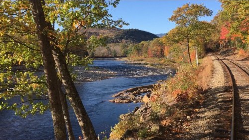 All Aboard The Hobo Railroad For A NH Foliage Train Ride