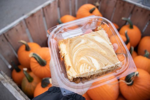 Best Pumpkin Patches In New Hampshire